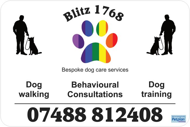 Blitz 1768 Bespoke Dog care Services – Blitz Pet Shop